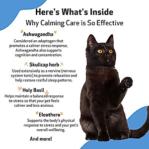 Pet Wellbeing Calming Care for Cats - Vet-Formulated - Supports Calm & Relaxed Nervous System - Natural Herbal Supplement 2 oz (59 ml)