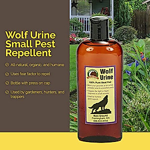 Just Scentsational WU-8 Wolf Urine for Gardens, Hunters, and Trappers, 8 oz