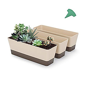GROWNEER 3 Packs 12 Inches Window Boxes Rectangle Planter with 15 Pcs ...