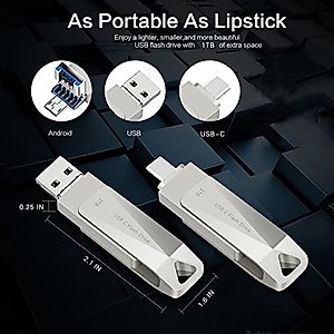 USB Flash Drive Memory Stick Android USB C Phone Photo Stick High Speed Data Storage Drive 1000GB USB 3.0 Thumb Drives WANSISEN for Android Phone Mac-Book Pad Pro Tablets and Computer (Grey, 1TB)
