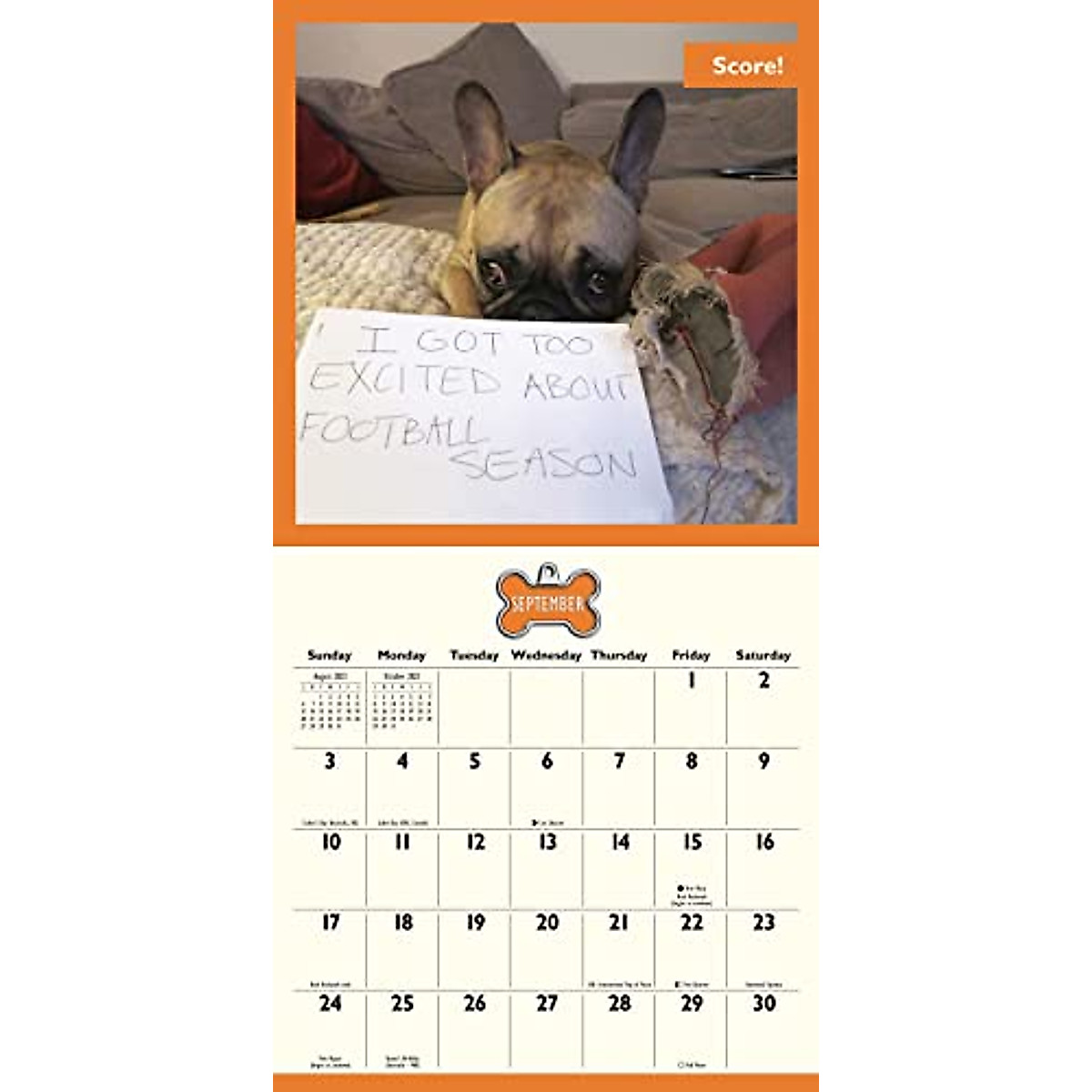 Dog Shaming 2023 Mini Wall Calendar