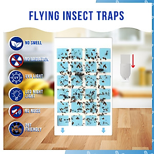 SHIELDFLY | Fly Trap Indoor, Gnat Killer Indoor, Fly Traps Indoor for Home, Highly Effective UV Light, Flying Insect Trap, Flies, Fruit Flies, Gnats & Other Flying Insects (1 Device + 3 Cartridges)