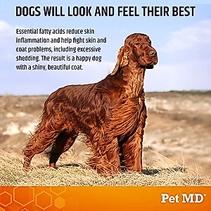 Pet MD Salmon Oil Omega 3 for Dogs - Advanced Allergy & Itch Relief for Dogs - Omega 3 & 6, EPA & DHA, Fish Oil Omega 3 Soft Chews - 120 Count