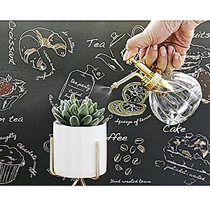 Plant Mister, 6.5" Tall Decorative Glass Water Spray Bottle with Gold Top Pump Small Watering Can by Ebristar - Clear