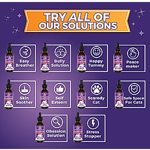 Jackson Galaxy: Scaredy Cat (2 oz.) - Pet Solution - Promotes Sense of Self-Confidence and Reassurance - Perfect for Cats Who Hide and Run from Touch - All-Natural Formula - Reiki Energy