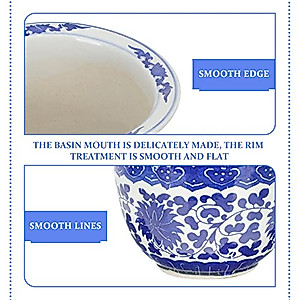 YARNOW Bonsai Hole Simple Seedling Plants Style Drainage Pots Pot Succulents, Indoor Flowerpot Plant and Storage Balcony Cactus Saucer, Display Pots, Office Porcelain White Inch Round