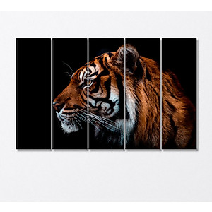 Sumatran Tiger Canvas Print 1 Panel / 36x24 inches