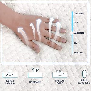 LIYIH 10 Inch Queen Mattress, Memory Foam Mattress, Guest Room Mattress, Comfort Level of This Mattress is Extraordinary,Improved Sciatica CertiPUR Certification【New Version】