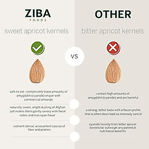 Ziba Foods Trail Mix - Sweet Apricot Kernels, Mulberries, Raisins, Almonds & Pistachios - Non-GMO, Vegan, Whole 30 Friendly & Paleo - High in Fiber, Iron & Antioxidants - Sweet & Savory, Pack of 6