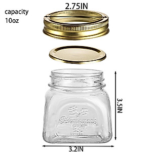 Cedilis 12 Pack 10OZ Airtight Mason Jars, Small Glass Jars with Gold Metal Lids and Bands, Canning Jars Jelly Jars Decorative Jars for Honey, Meal Prep, Jam, Spices, Shower Favors, Wedding favors