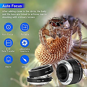 Viltrox Metal Mount Auto Focus Macro Extension Tube Ring Set 12mm 20mm 36mm for Canon EF & EF-S Lens DSLR Camera 760D 700D 90D 80D 70D 5D 6D 7D 1300D Rebel T6 T7 T5 T8i T7i T6i T6s T5i T4i SL3