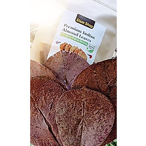 Pufa SIAM Shop Premium Indian Almond Leaves Medium Catappa for Betta Fish & Shrimps|Best Betta Fish / Shrimp Leaves |Indian Catappa Almonds Naturally sourced Almond Leaves Help Boost immunity50 g.