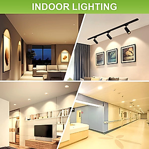 12 Pack MR16 GU5.3 LED Bulb 50W Halogen Equivalent, 5W 3000K Soft White, 450 Lumens, 38 Degree Spot Lighting for Indoor/Outdoor Flood Track Recessed Lighting Not Dimmable AC/DC 12V 24V