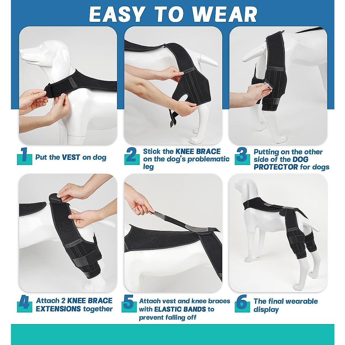 Petdream Dog Knee Brace with Vest, Support Dog Acl Brace for Hind Leg Torn, Adjustable Dog Rear Leg Braces for Cruciate Ligament Injury, Joint Pain Relief and Arthritis (Double, 2)