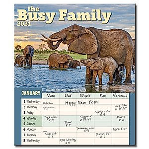 Busy Family Wall Calendar 2021, Monthly January-December 12'' x 14"