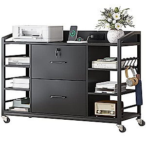 SEDETA 44" File Cabinet, Filing Cabinet fits Legal/Letter Size, 2 Drawer File Cabinets for Home Office with Lock, Power Strip, 6 Storage Shelves, Rustic Brown