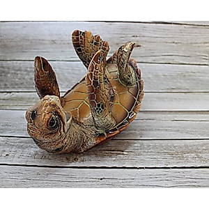 Sea Turtle Bottle Holder Turtle Figurine Natural Color Turtle Wine Bottle Holder