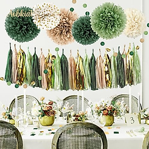 AOBKIAT Sage Green Wedding Party Decorations,28 PCS Tissue Paper Pom Poms,Circle Dots Garland Paper Tassels Hanging Backdrop for Girl Women Birthday,Bridal Baby Shower,Boho Wedding Party Supplies