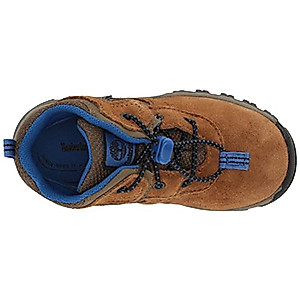 Timberland Kids Toddler Mt. Maddsen TimberDry Waterproof Hiking Boot, Medium Brown Suede, 5 US Unisex