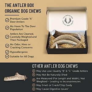 The Antler Box Premium Deer Antler Dog Chews (1 lb Bulk Pack) (Large (3 to 4 Antlers/lb))