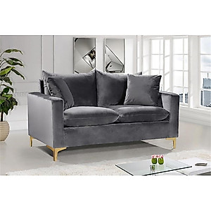 Meridian Furniture Naomi Collection Modern | Contemporary Grey Velvet Upholstered Loveseat with Stainless Steel Base in a Rich Gold or Chrome Finish, 633Grey-L