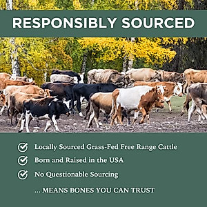 K9 Connoisseur Single Ingredient Dog Bones Made in USA Natural Marrow Filled Dynamo Bone Chew Treats for Small to Medium Breed Aggressive Chewers Dogs - Best Up to 50 Pounds 6 Pack