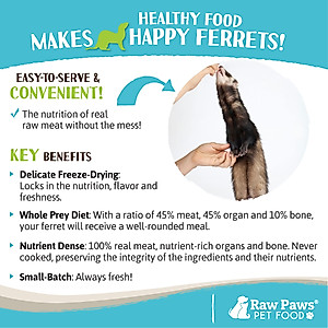 Raw Paws Freeze Dried Raw Ferret Food, Beef 16-oz - Made in USA - Premium, Grain Free Ferret Diet for Small, Adult, Senior & Baby Ferrets - Also use as Natural Ferret Treats for Rewarding & Training