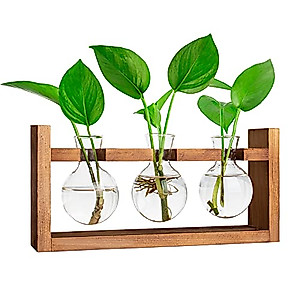 Ivolador Tabletop Propagation Station,Plants Terrarium Glass Bulb Terrarium with Retro Solid Wooden Stand for Hydroponics Plants Home Garden Wedding Décor (3 Bulbs)