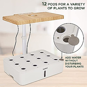 Ivation 12-Pod Indoor Hydroponics Growing System Kit with LED Grow Light, Herb Garden Planter for Herbs, Vegetables, Plants Flowers and Fruit