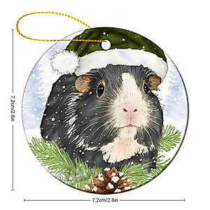 Customized Christmas Tree Decoration - Guinea Pig in Santa Hat, 3" Xmas Pet Present & Stocking Stuffer Gift