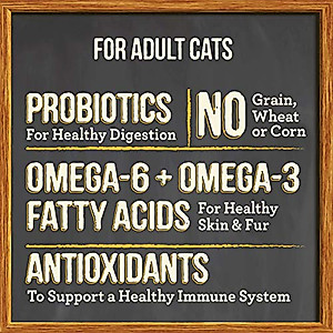 Merrick Purrfect Bistro Grain Free Cat Food, Real Chicken and Sweet Potato Dry Cat Food Recipe - 12 lb. Bag