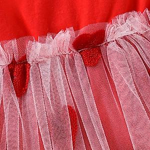 Infant Girls Dresses Double Tulle Long Sleeves Dresses+Bow Headband 3D Heart Applique Valentines Day Baby Clothes (Red Dress,3-6 Months)