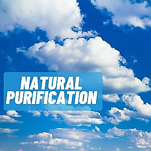 Calcium D-Glucarate 500mg- CDG for Liver Detox, Cleanse, Menopause, Estrogen Management | 60 Tablets Cal D Glucarate Supplements