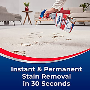 Bissell Advantage INSTAclean™ Pet Stain Remover - 2 Pack, 3322