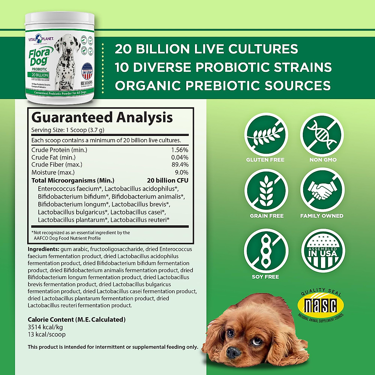 Vital Planet - Flora Dog Probiotic Powder Supplement with 20 Billion Cultures and 10 Strains, High Potency Immune and Digestive Support Probiotics for Dogs, 3.92 oz., 111 Grams, 30 Servings