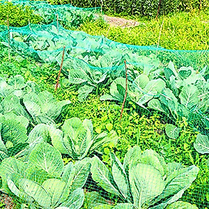 CandyHome Bird Netting for Garden,13Ft x 33Ft Reusable Garden Netting Plants Barrier, Plant Netting Mesh Net Protect Fruit Trees Seedlings Plants from Birds, Squirrels, Cicadas,Rodents