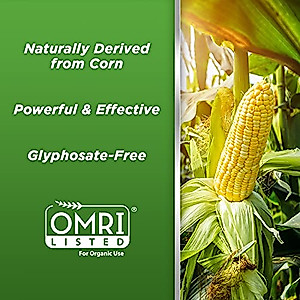 Green Gobbler 20% Vinegar Weed & Grass Killer | Natural & Organic | Concentrated | 1 Gallon Spray | Glyphosate Free Herbicide