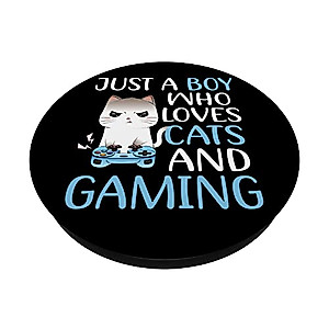 Just A Boy Who Loves Cats And Gaming Boys Gamer Cat Funny PopSockets Swappable PopGrip