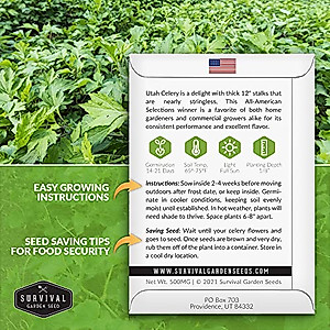 Survival Garden Seeds - Utah Celery Seed for Planting - Packet with Instructions to Plant and Grow Delicious Celery Plants in Your Home Vegetable Garden - Tender and Crisp Non-GMO Heirloom Variety
