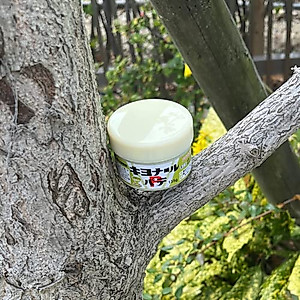 Kiyonal Bonsai Cut Paste 135g (Putty Type), Tree Pruning Sealer for Bonsai, Gardening, Grafting, Made in Japan, Gray