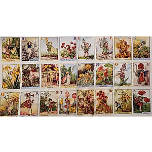 Alphabet Panel Flower Fairy ABC Fabric Michael Miller - 24 Inch Panel