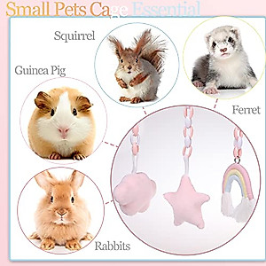 ROZKITCH 4PCs Guinea Pig Hamster Hanging Toy, Pink Small Animal Case Accessories Kits, Pet Cage Pendant, Photo Props for Pet Rat,Ferret, Guinea Pig, Squirrel, Rabbits, Mice and Gerbil Rainbow