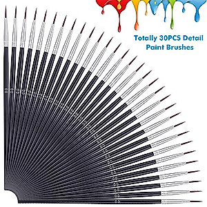 Miniature Detail Paint Brushes, Anezus 30 Pcs Paintbrushes Small Watercolor Artists Paint Brushes for Acrylics Oil Model Craft Nail Detail Painting, Size 00