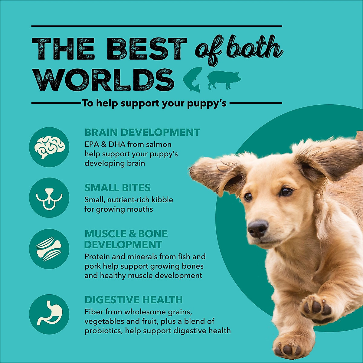 ACANA™ Wholesome Grains Dry Dog Food Puppy Sea & Farm Recipe, 22.5lb