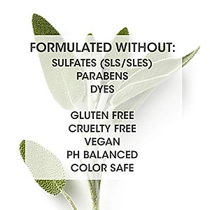 SEVEN Haircare Satara Volume Shampoo for Women & Men, Sulfate + Cruelty Free & Paraben Free with Pro Vitamin B5, Argan Oil, Hydrolyzed Quinoa Protein for Flat + Limp Hair, Made in USA, 10.8oz