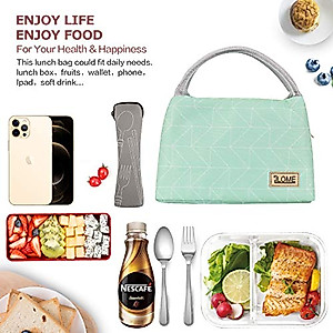 iLOME Insulated cooler lunch bag for lunch, Waterproof Lovely Canvas Lunch Bag, Perfect size lunch bag for lunch box for Men & Women Work Picnic or Travel