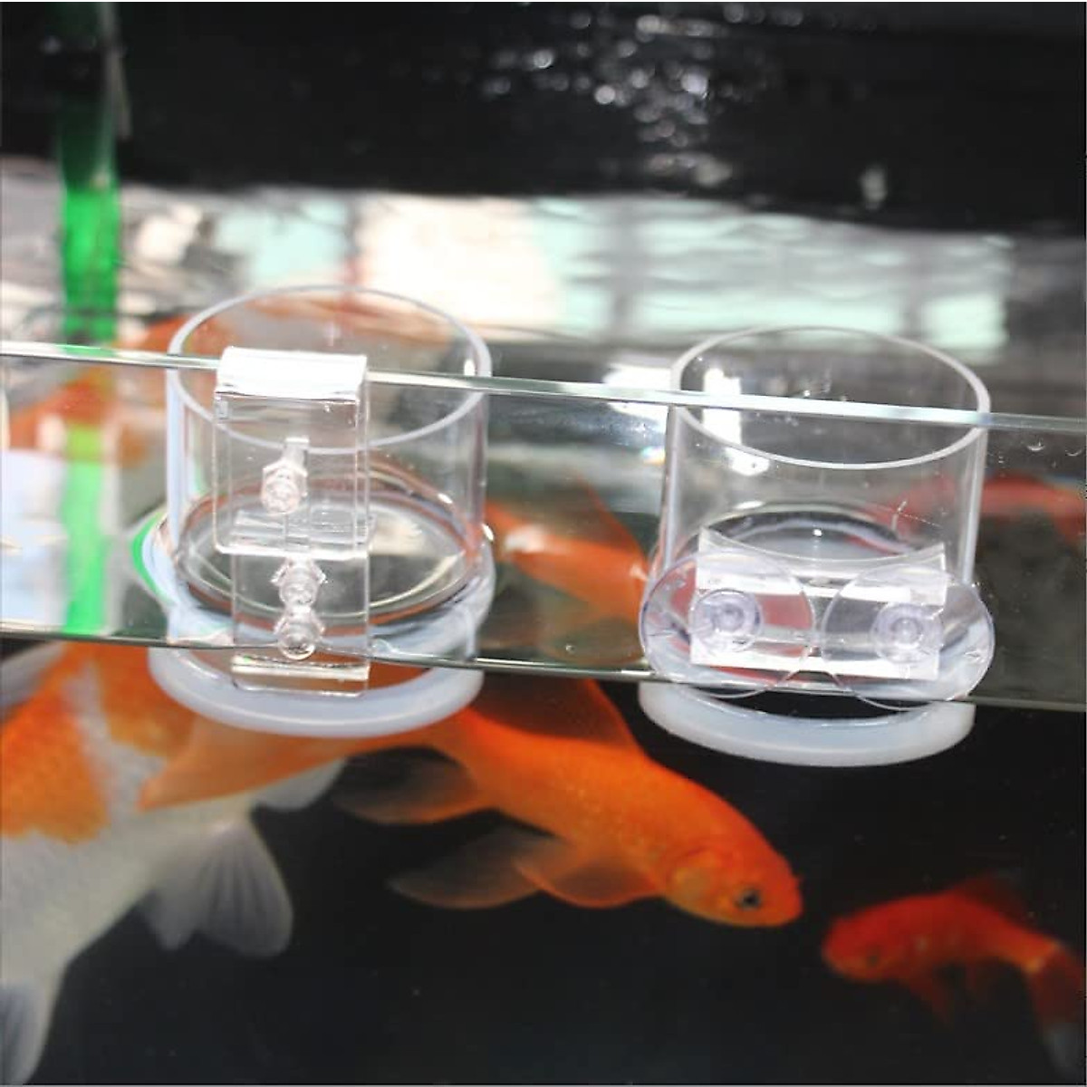 Fish Tank Suction Cup Feeder Acrylic Transparent Fish Ring Food Feeder Clear Fish Feeding Ring with Anti-Collision Strip for Aquarium Fish Tank