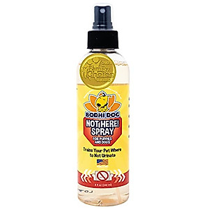 Bodhi Dog Not Here! Spray | Trains Your Pet Where Not to Urinate | Training Corrector for Puppies & Dogs | for Indoor & Outdoor Use | No More Marking | Made in The USA (8 Ounce)