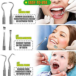 Dental Tools, Professional Teeth Cleaning Tools Stainless Steel Tartar Remover Oral Hygiene Care Scraper Tools Set for Adults, Kids, Family, Dogs with Leather Case, 11 Piece Set