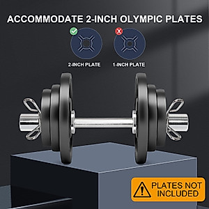 Uboway Olympic Dumbbell Handles: 20" Dumbbell Set for 2" Olympic Weight Plates, Weight Lifting Handles with 2 Pair of Spring Collars, Home Gym Accessories
